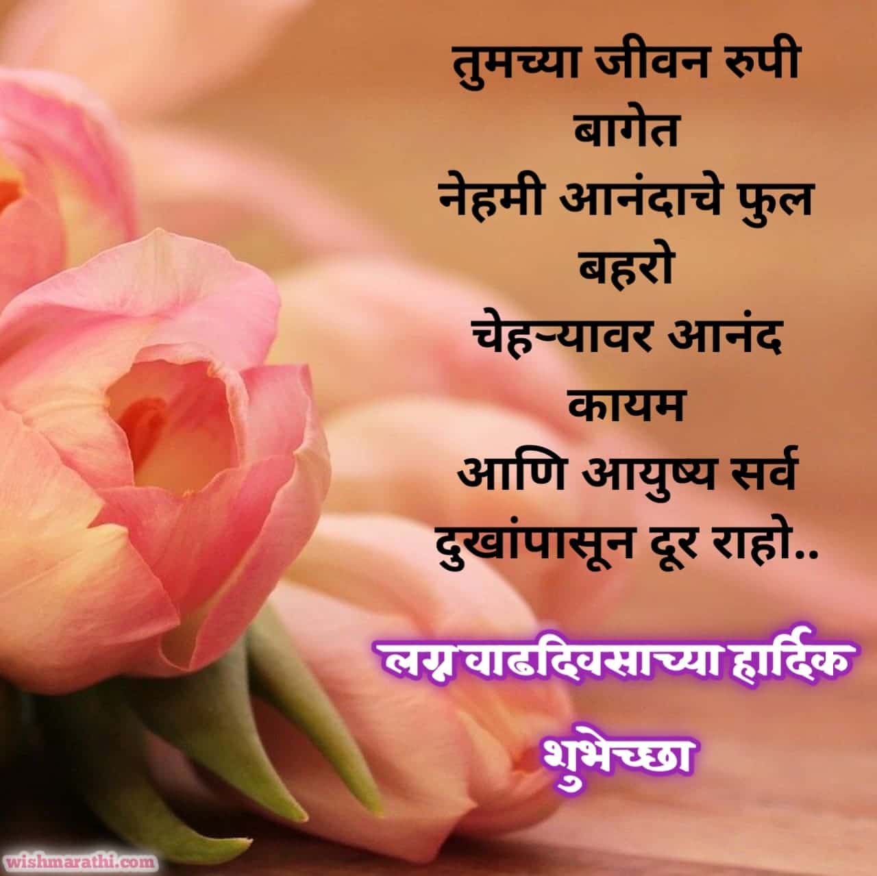  Wedding Anniversary
