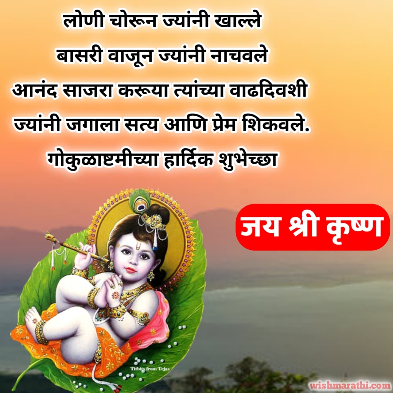 गोकुळाष्टमीच्या हार्दिक शुभेच्छा | gokulashtami / krishna janmashtami ...