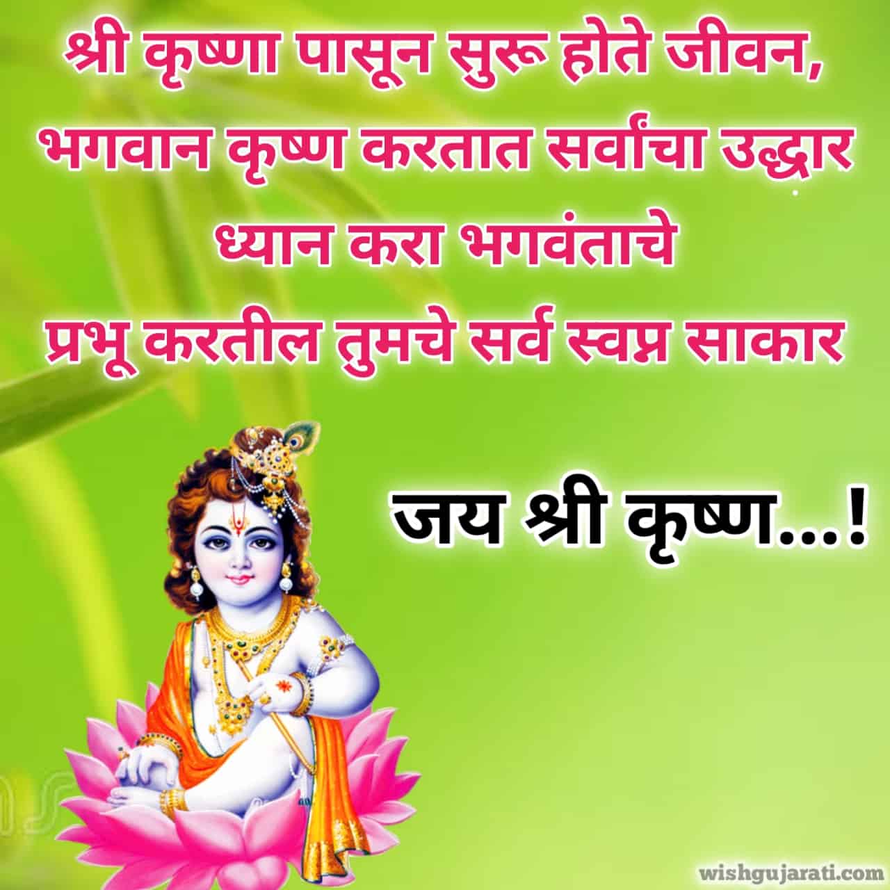 गोकुळाष्टमीच्या हार्दिक शुभेच्छा | gokulashtami / krishna janmashtami ...
