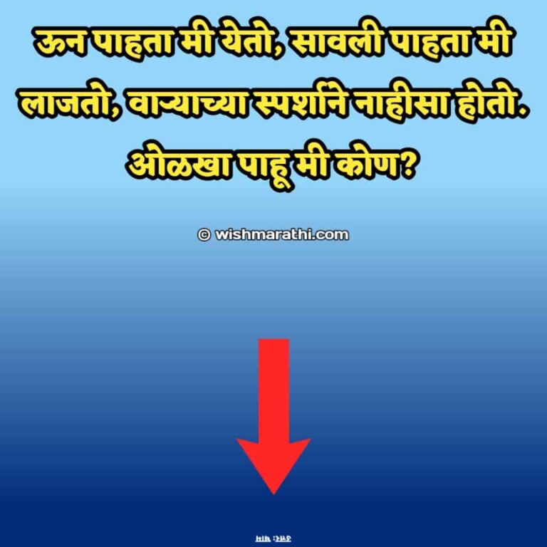 मराठी कोडी व उत्तरे | ओळखा पाहू कोडी | riddles in marathi with answers