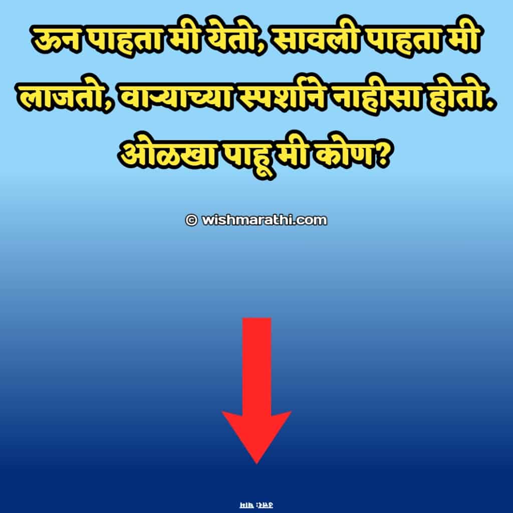 मराठी कोडी व उत्तरे | ओळखा पाहू कोडी | riddles in marathi with answers